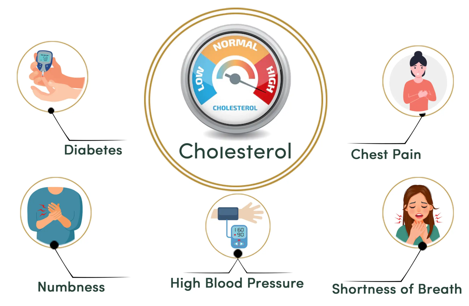 High Cholesterol - Durja Ayurveda